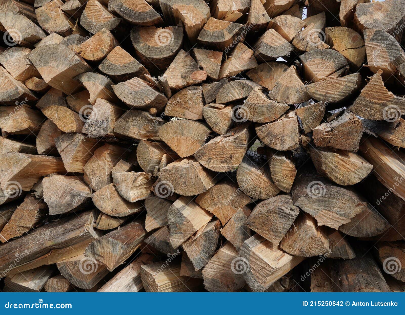 Big Stack of Cut Pine Tree Logs, Front View Image Stock Photo - Image ...