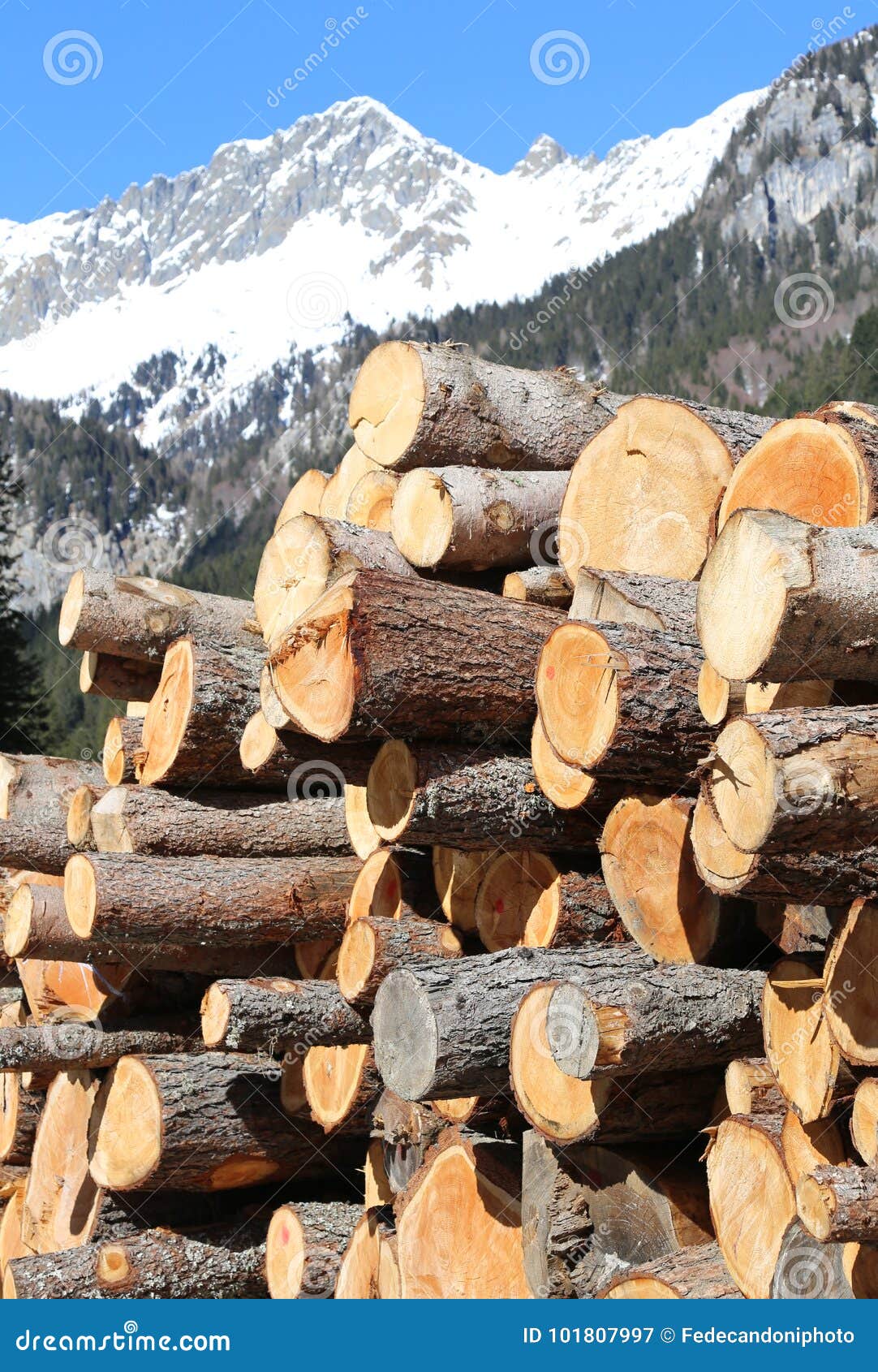 Stack of Logs in the Mountains in Winter with Snow Stock Image - Image ...