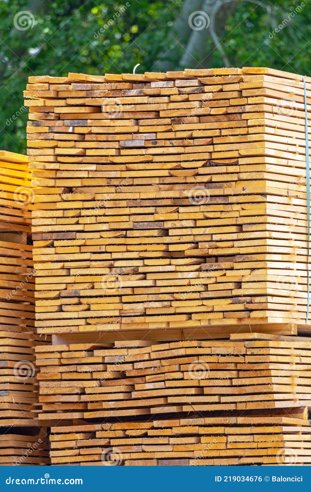 Plank Wood Pallet stock photo. Image of planks, shipping - 219034676