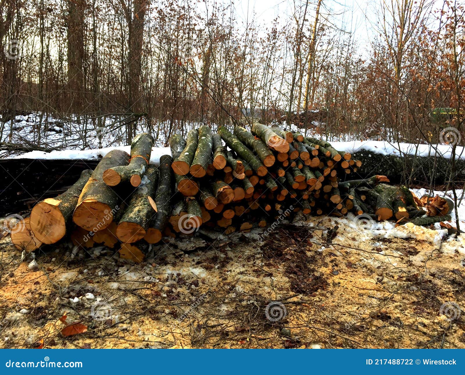 Big Stack of Timber on the Ground in the Winter Countryside Stock Photo ...