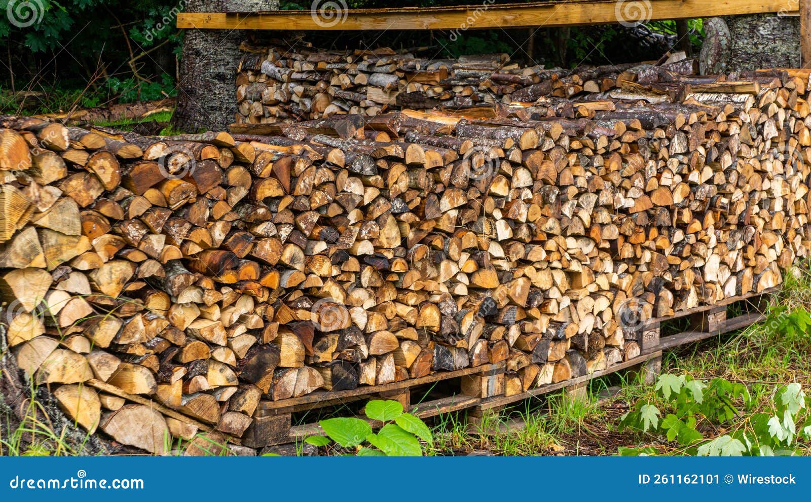 Big Stack of Wood Logs Cut and Arranged Together Stock Image - Image of ...