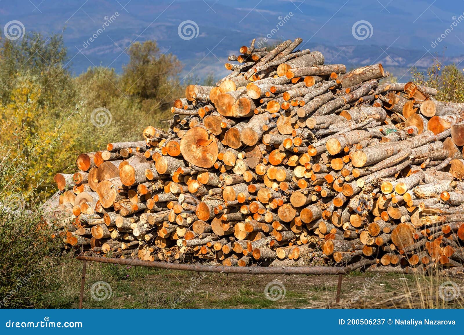 Big stack of wooden logs stock image. Image of forestry - 200506237