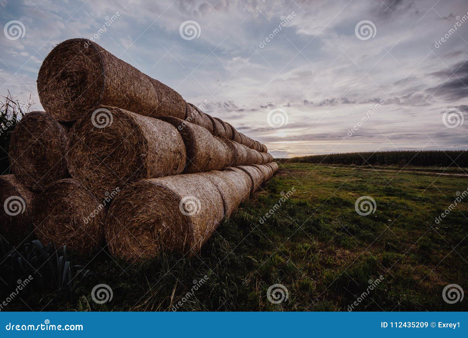Big Stacks of Hay on a Field Stock Image - Image of field, cereal ...