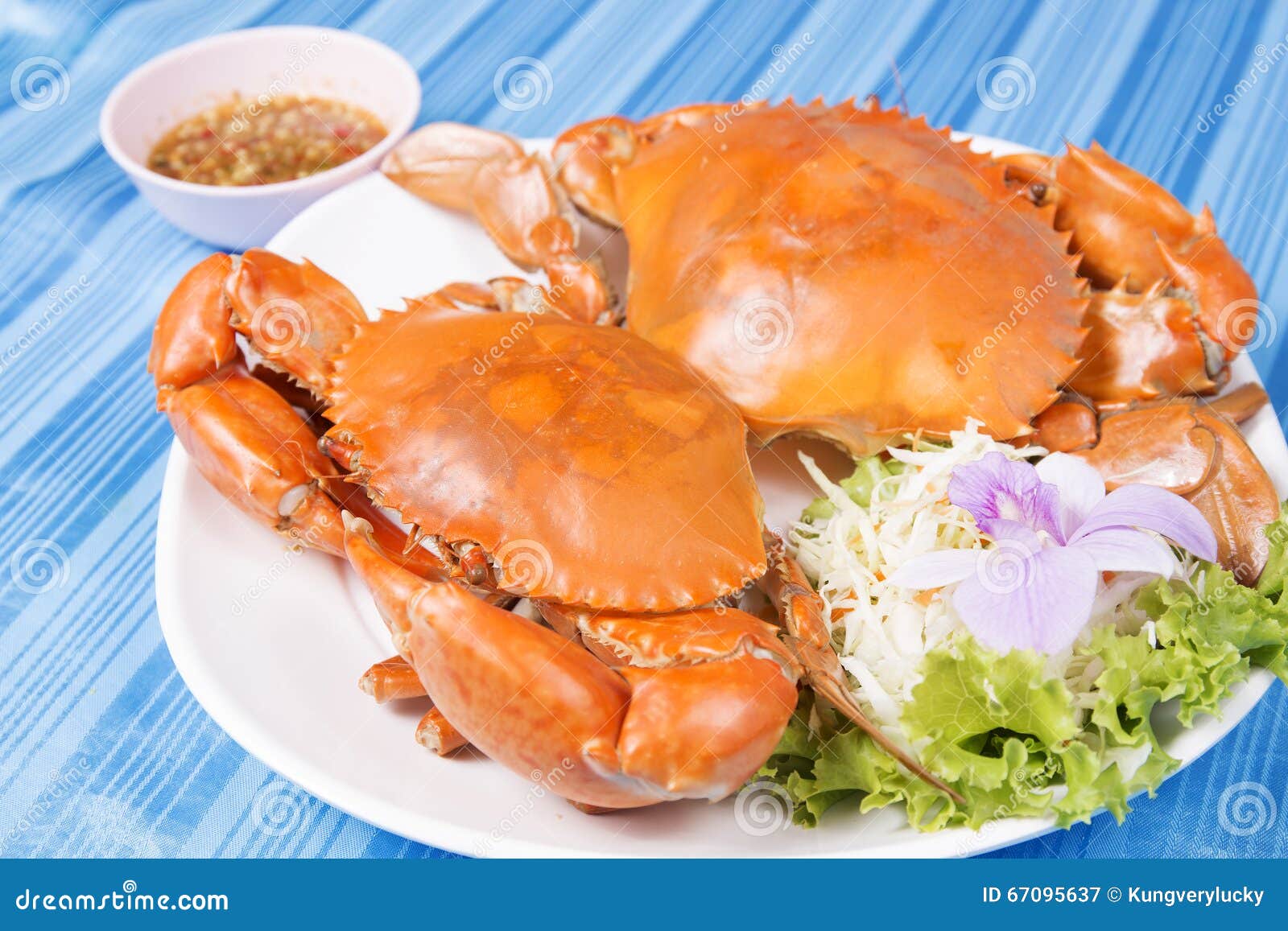 Big steam crab stock image. Image of tasty, decoration - 67095637