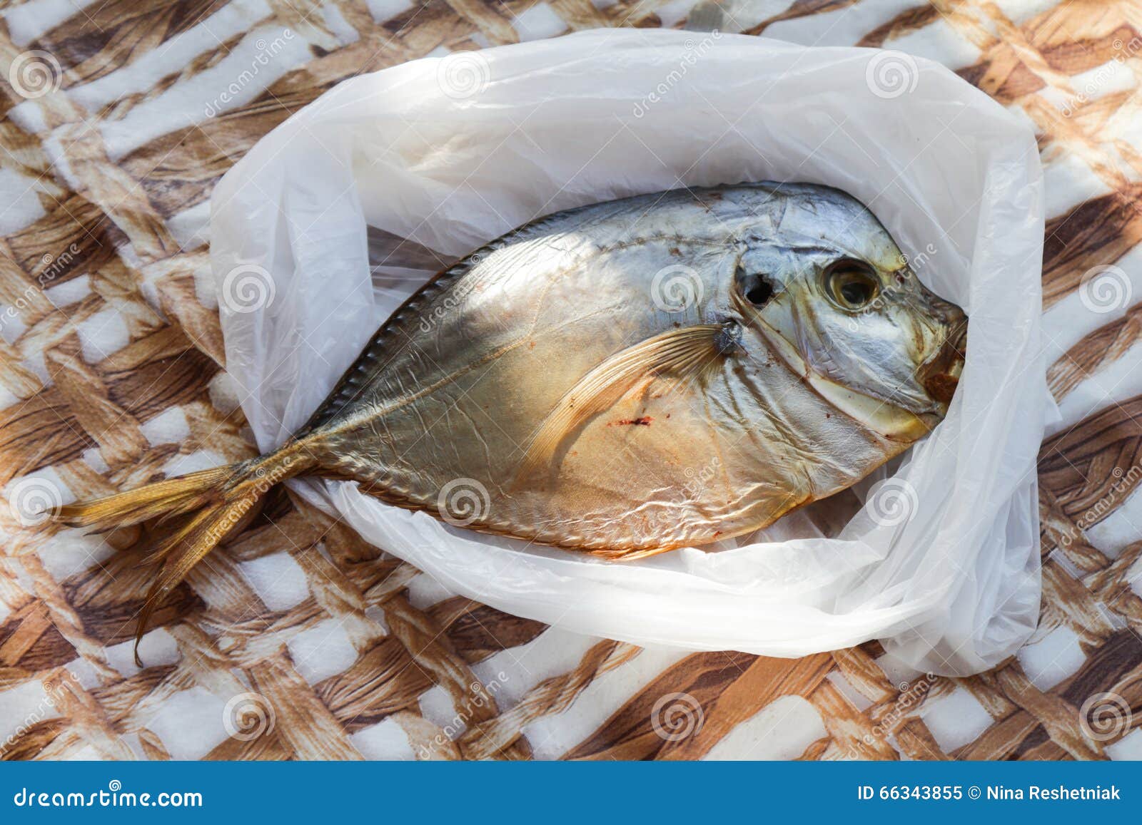 Big Stockfish Vomero stock image. Image of fish, dinner - 66343855