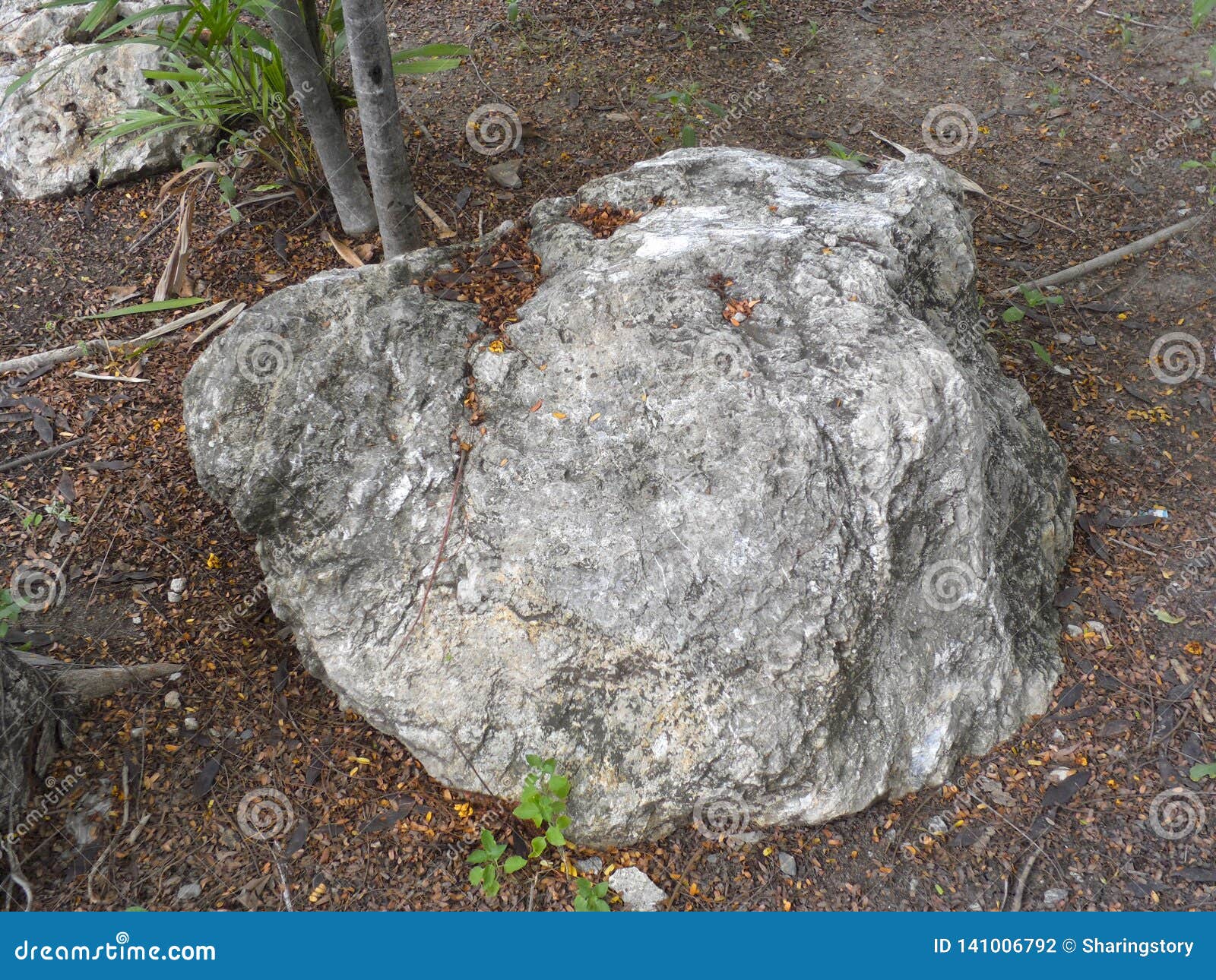 Big stone stock photo. Image of wild, nature, close - 141006792