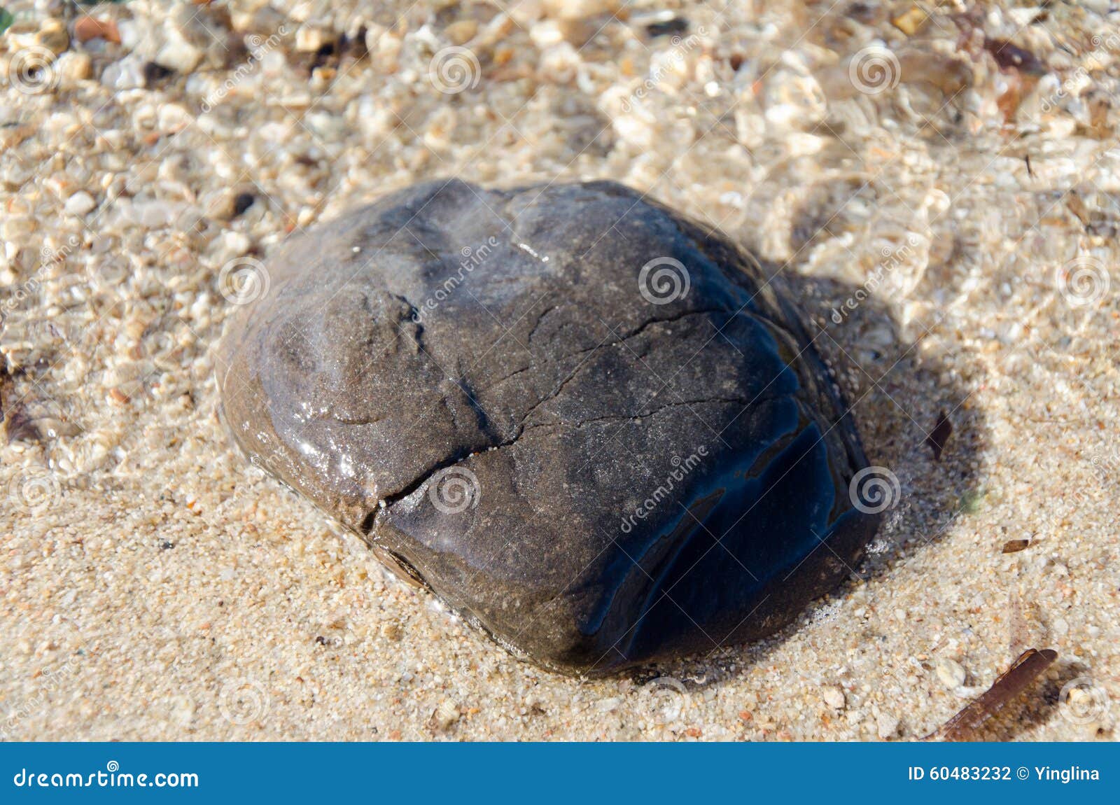 Big stone on the beach stock photo. Image of stone, horizon - 60483232