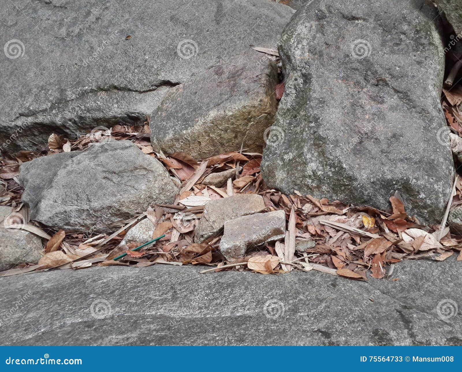Big stone in forest stock image. Image of garden, rock - 75564733