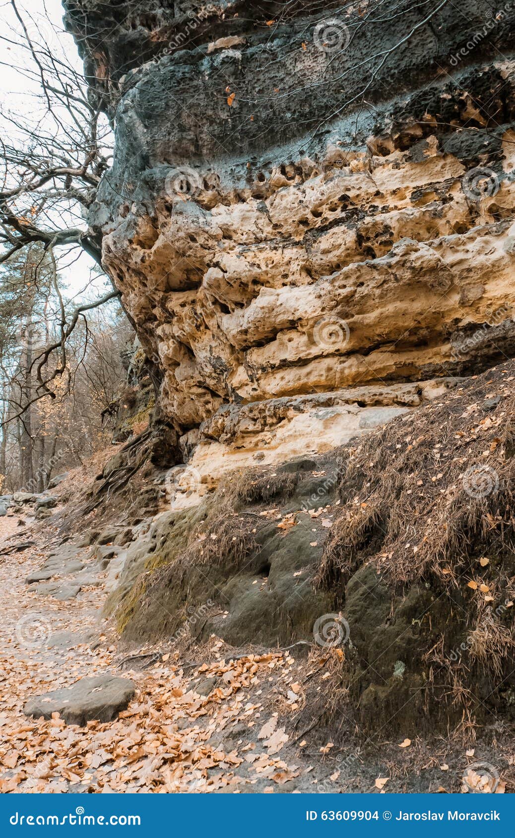 Big stone in forest stock photo. Image of autumn, national - 63609904