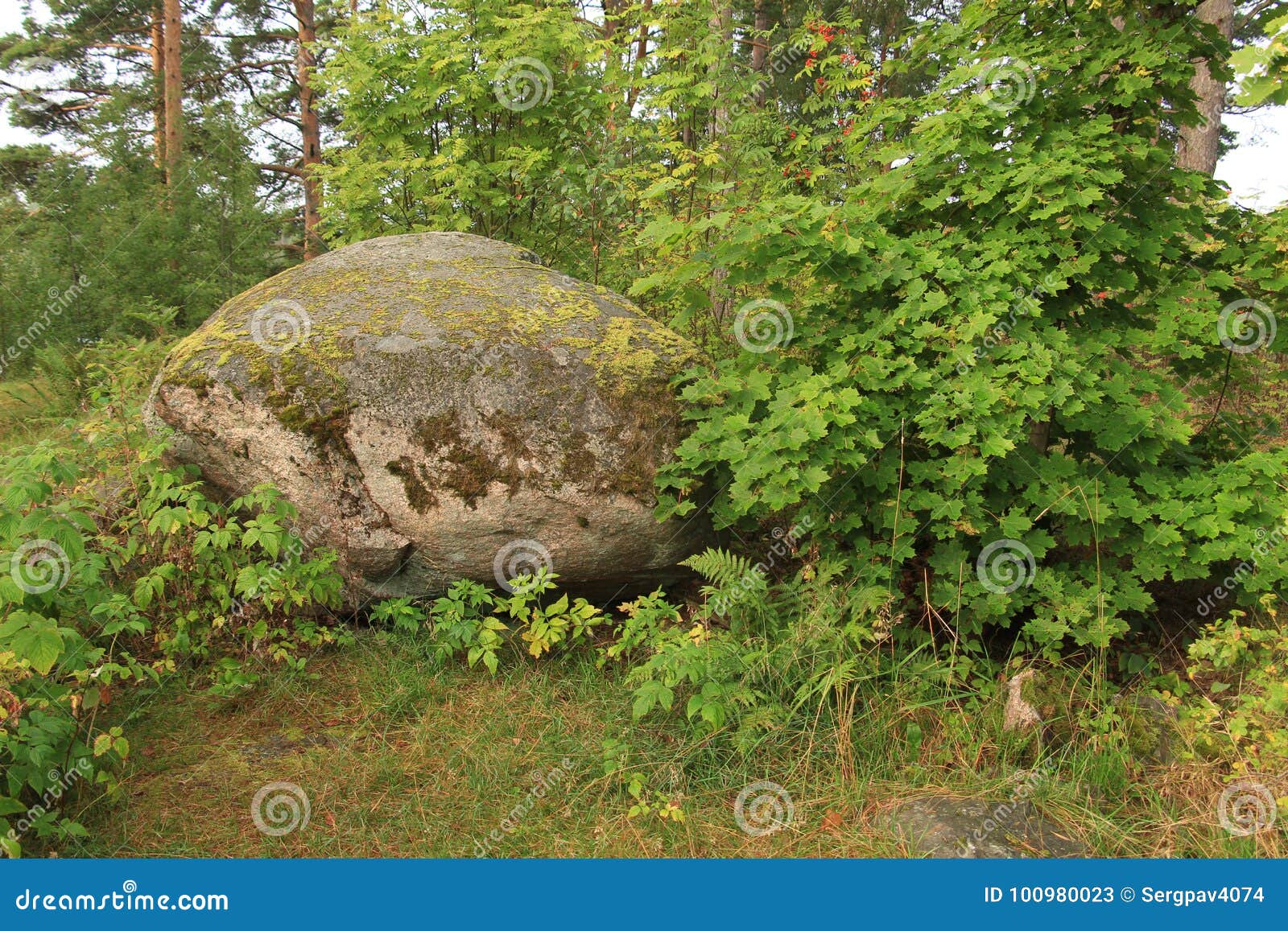 A big stone in the forest, stock image. Image of culture - 100980023