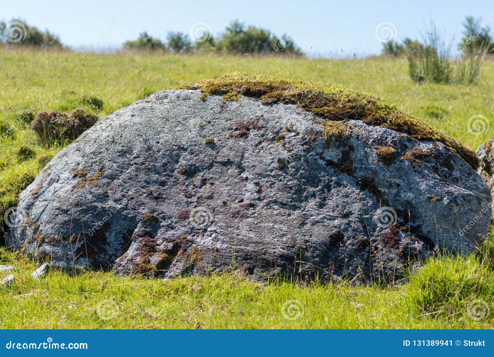 Big Stone in a Green Field stock image. Image of pebble - 131389941