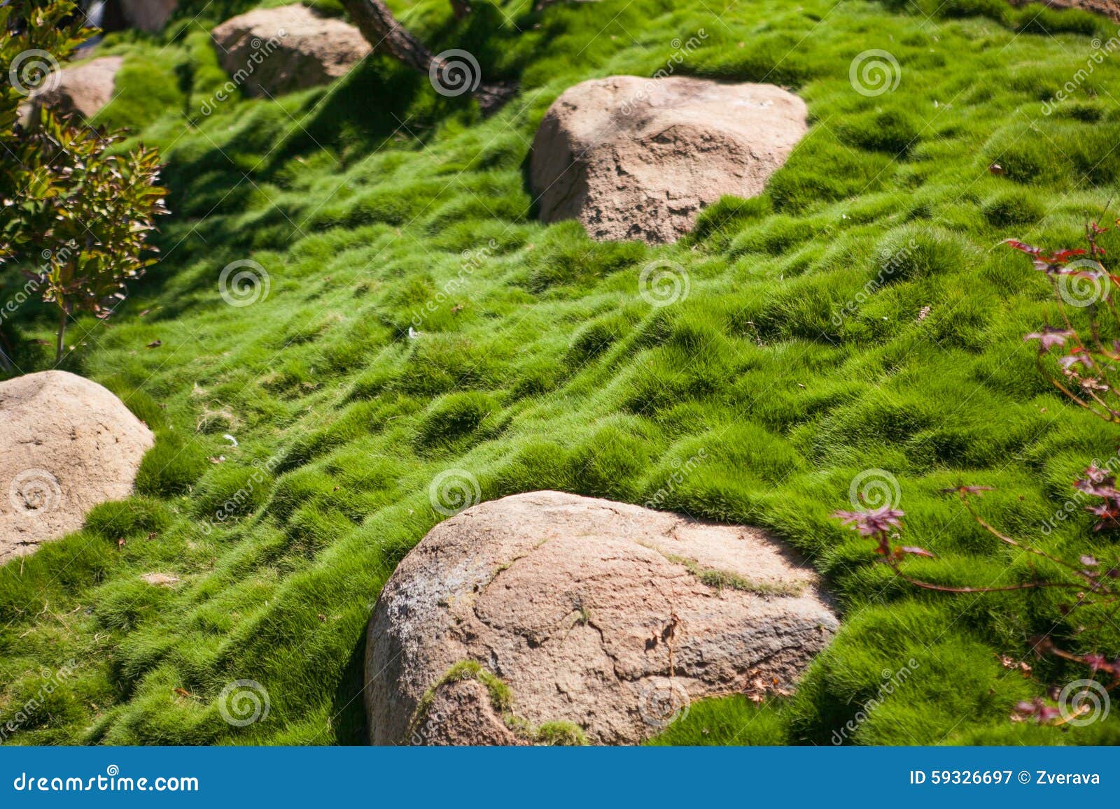 Big Stone on Green Grass at the Garden and Park Stock Image - Image of ...