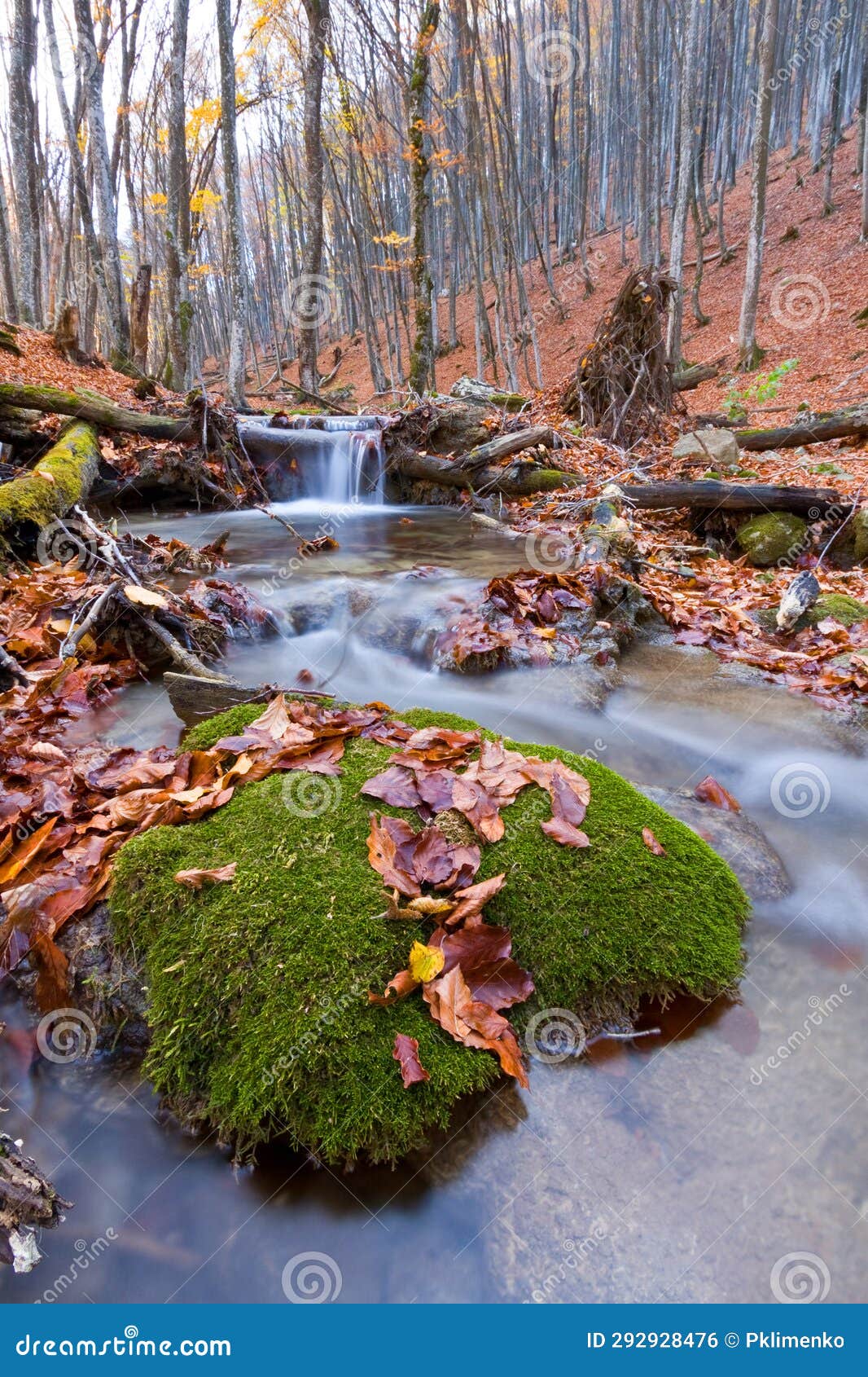 Mountain Brook in Autumn Forest Stock Photo - Image of brook, peace ...