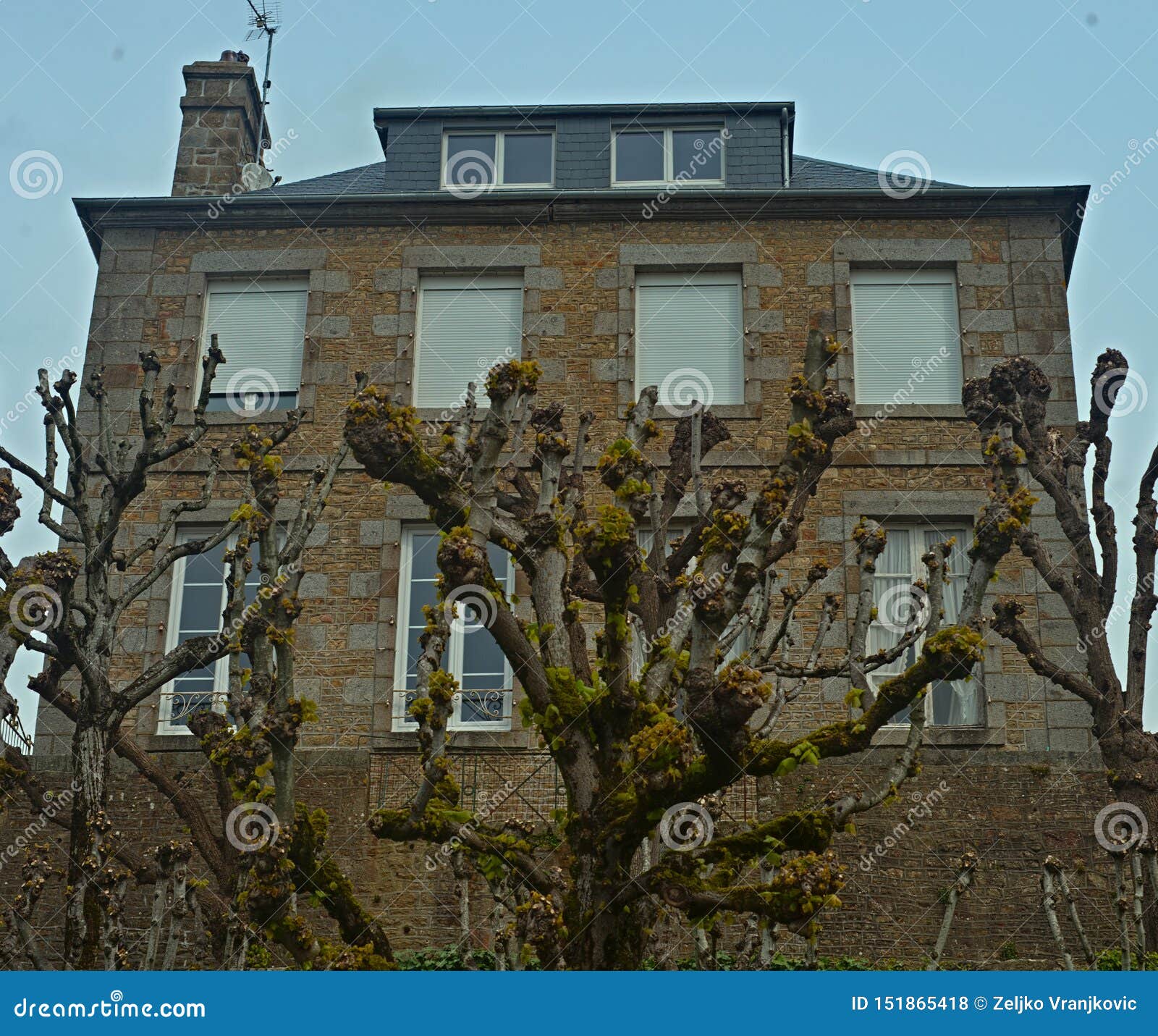 Big Stone House with Lot of Windows and Trees in Front Stock Photo ...