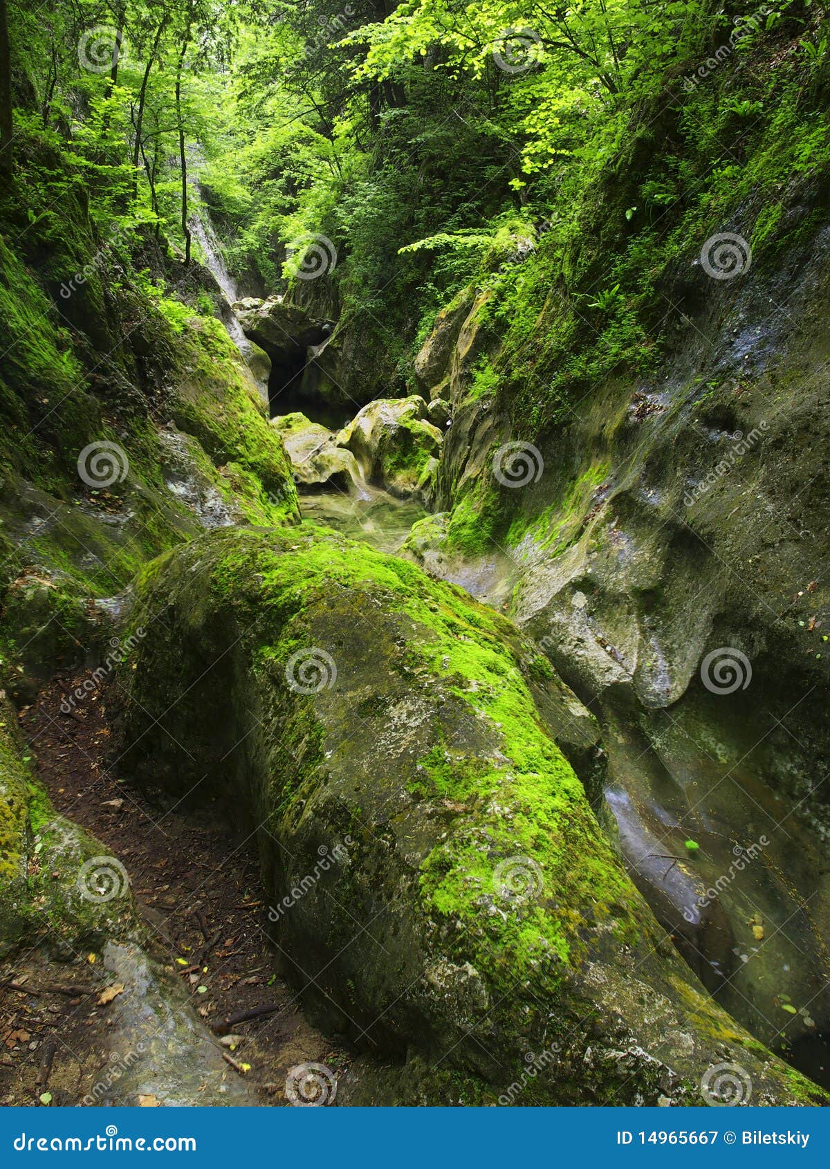 Big stone with moss stock image. Image of moss, hill - 14965667