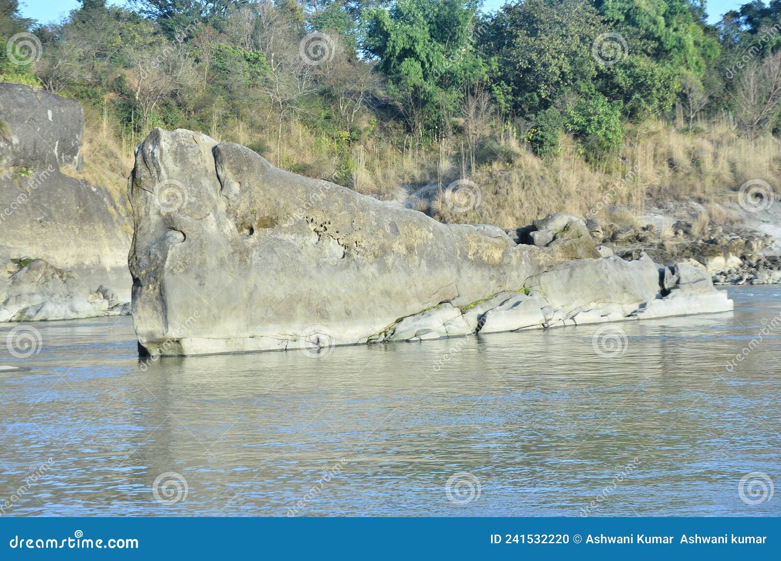 Big stone in the River stock photo. Image of water, river - 241532220