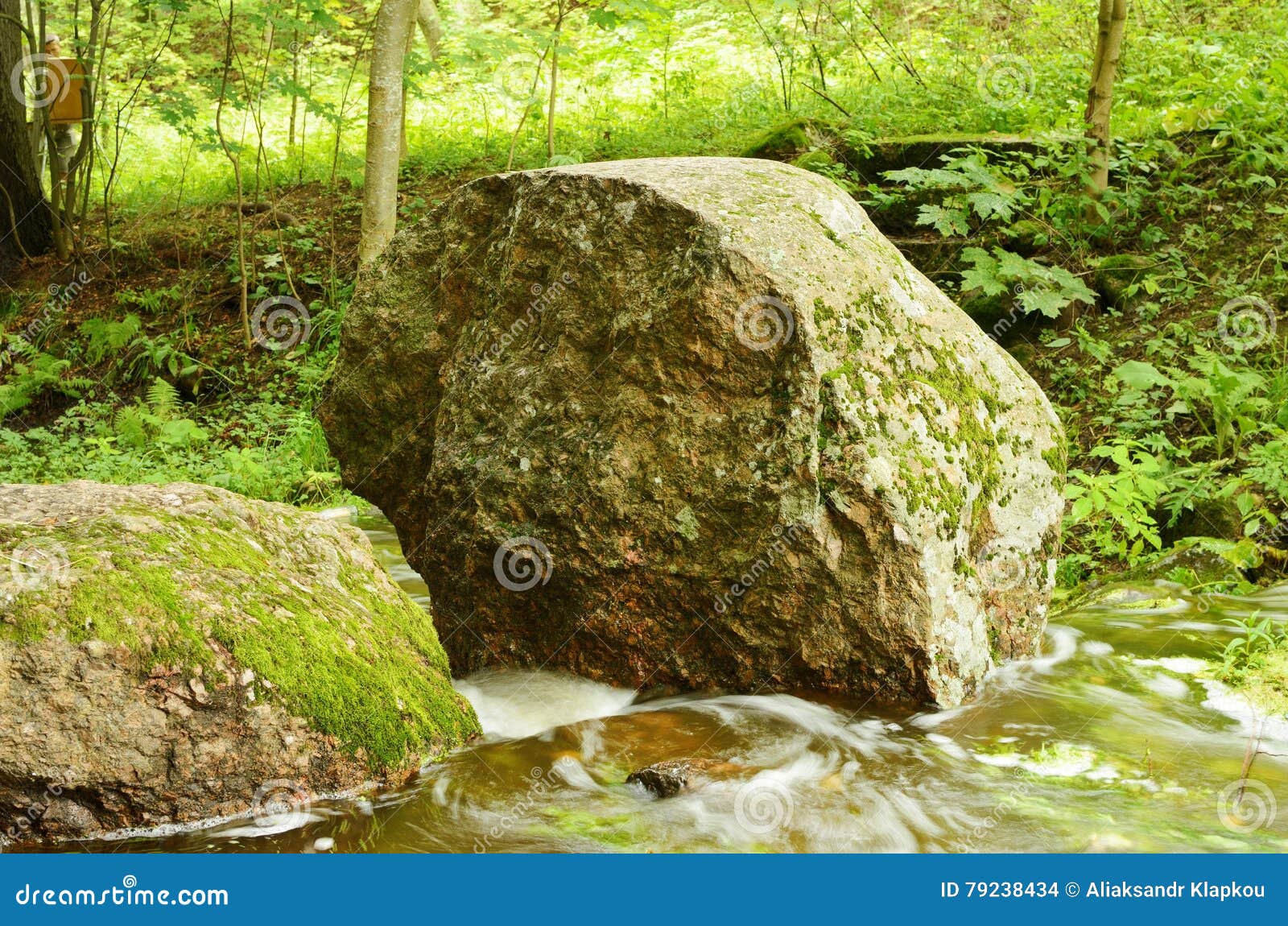 The Big Stone in the River. Stock Photo - Image of plant, forest: 79238434