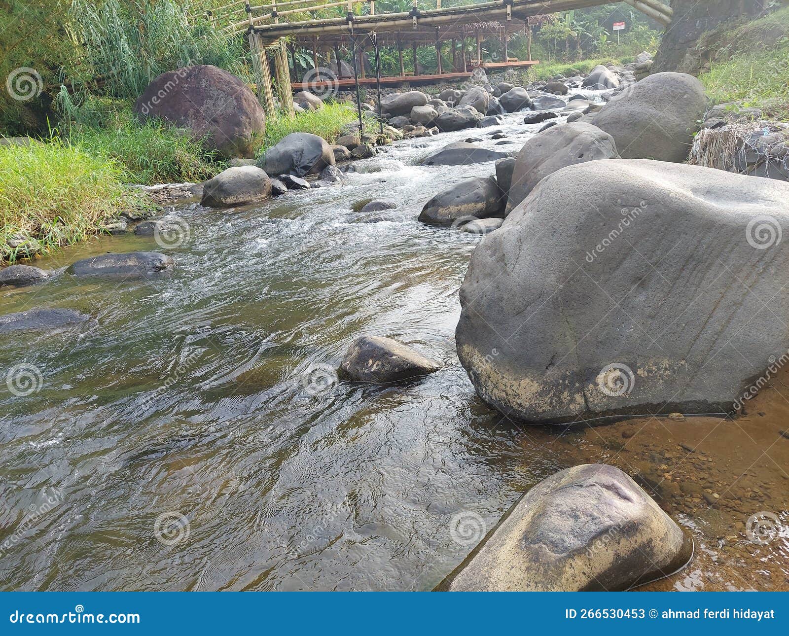 A Big Stone in the River Side Stock Image - Image of river, rapid ...