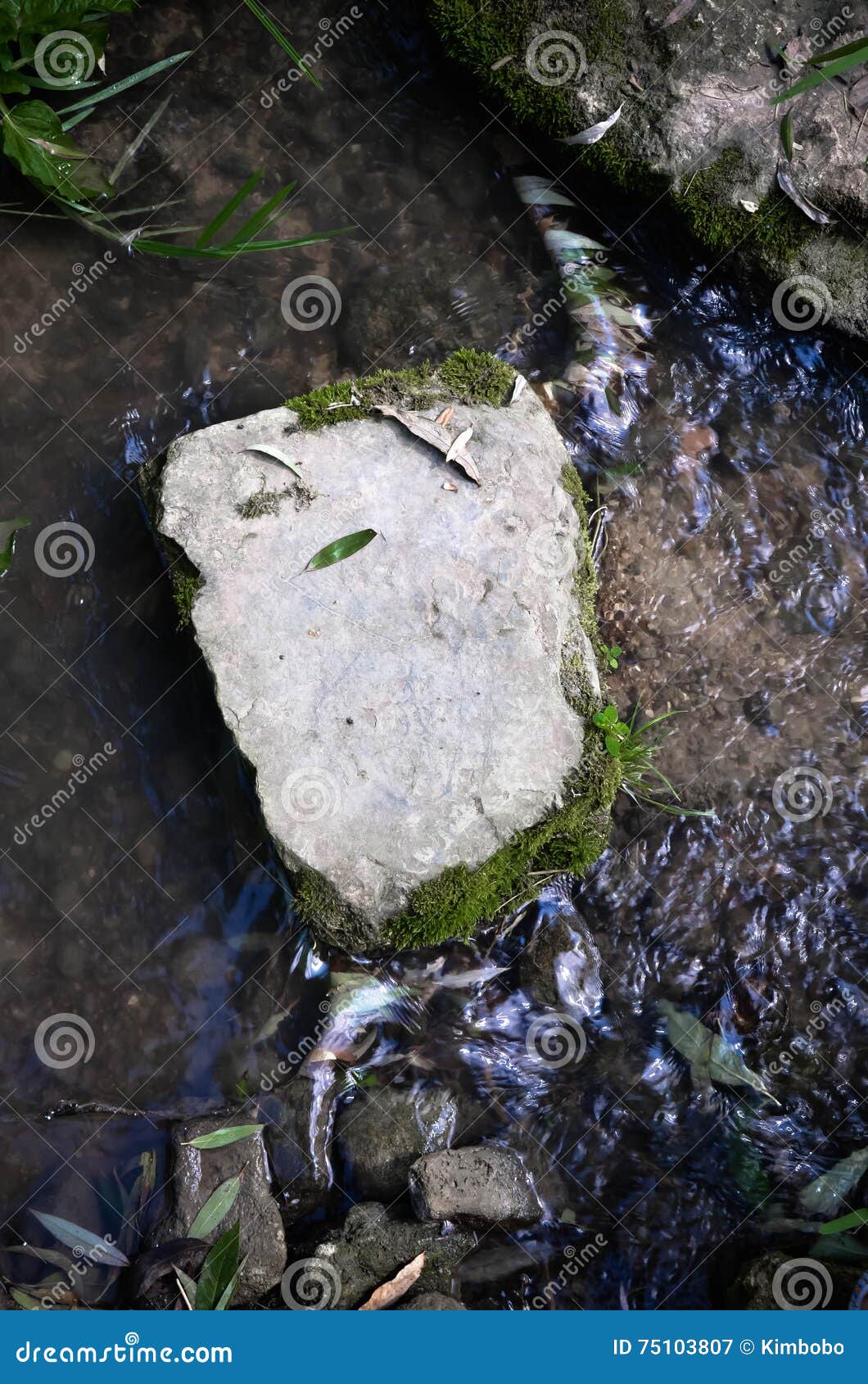 Big stone in a riverbed stock image. Image of color, blue - 75103807