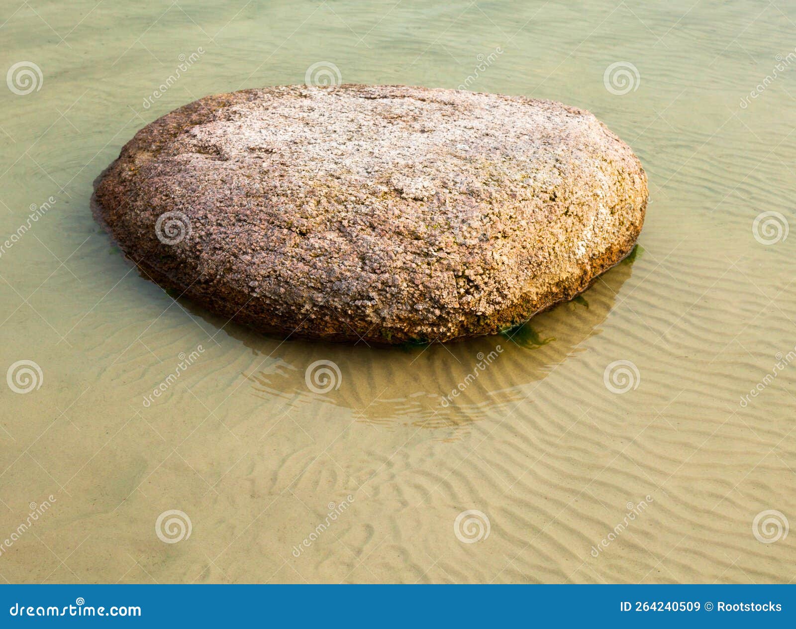 Big stone in shallow water stock image. Image of floor - 264240509