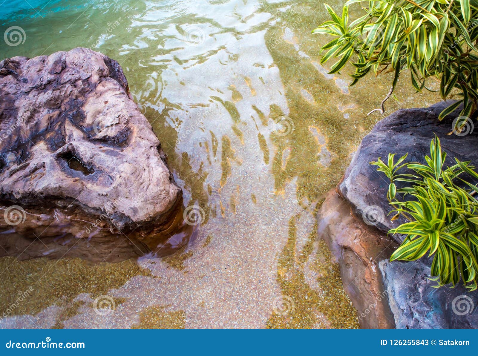Stone Shape Look Like Crocodile Head beside the River Stock Image ...