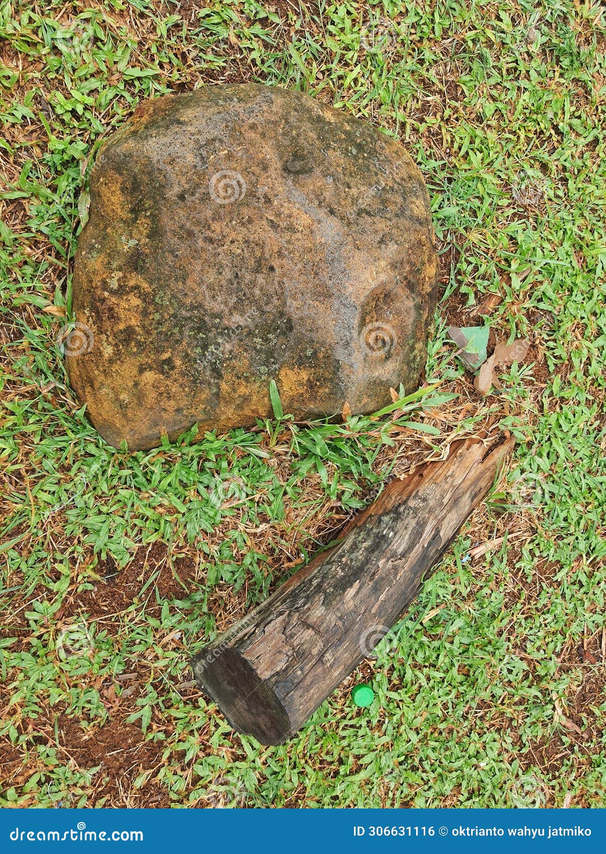 A Big Stone and Tree Log on a Green Grass Yard Stock Photo - Image of ...