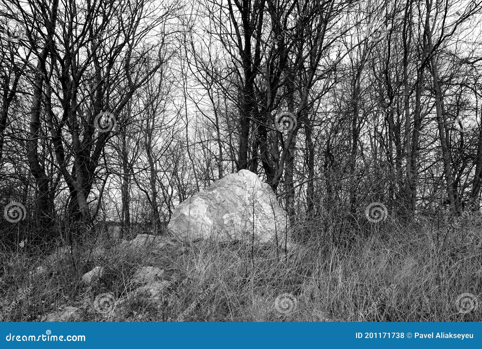 Big Stone and Trees. Black and White Stock Photo - Image of outdoor ...