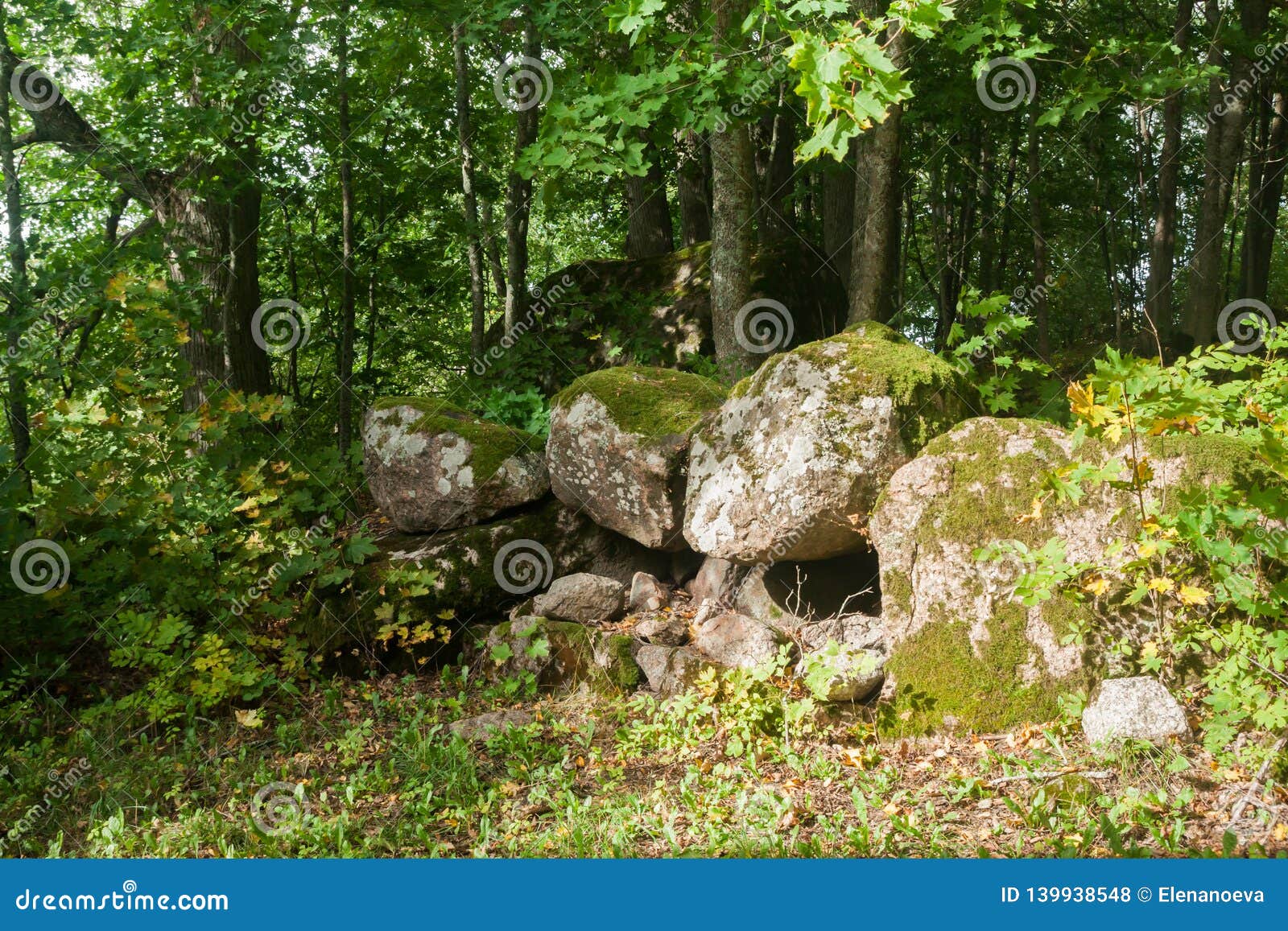 Big Stones are in the Forest in Finland at Summer Stock Photo - Image ...