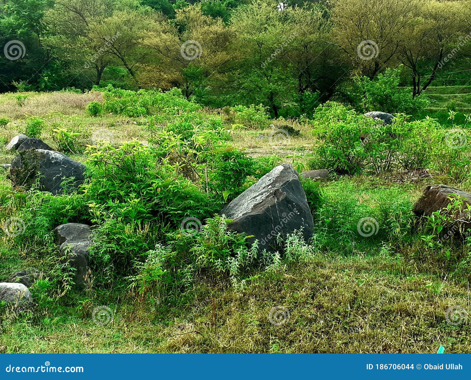 Big Stones and Grass Land Near Stream Stock Photo - Image of stream ...