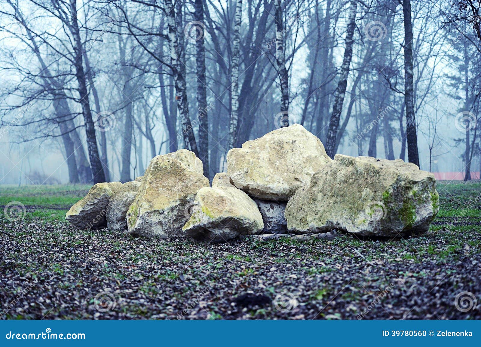 Big stones in park stock photo. Image of forest, autumn - 39780560