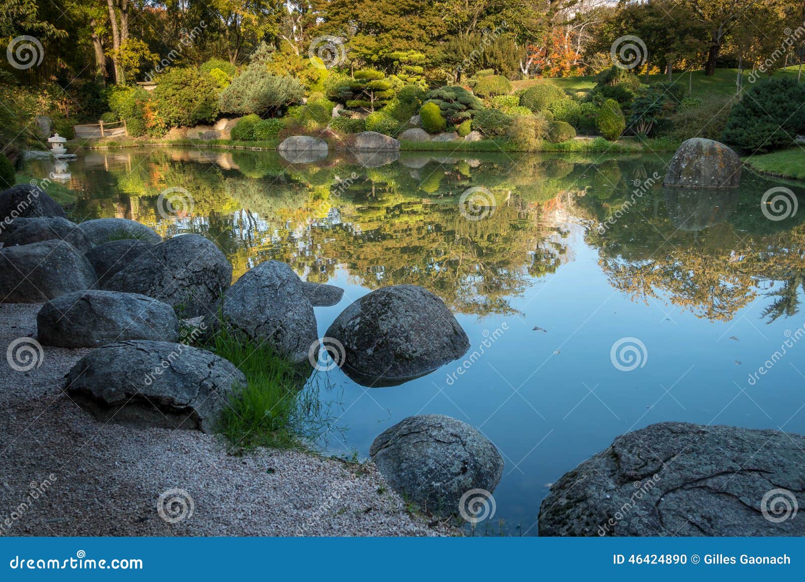 Big stones in a pond stock photo. Image of lake, water - 46424890