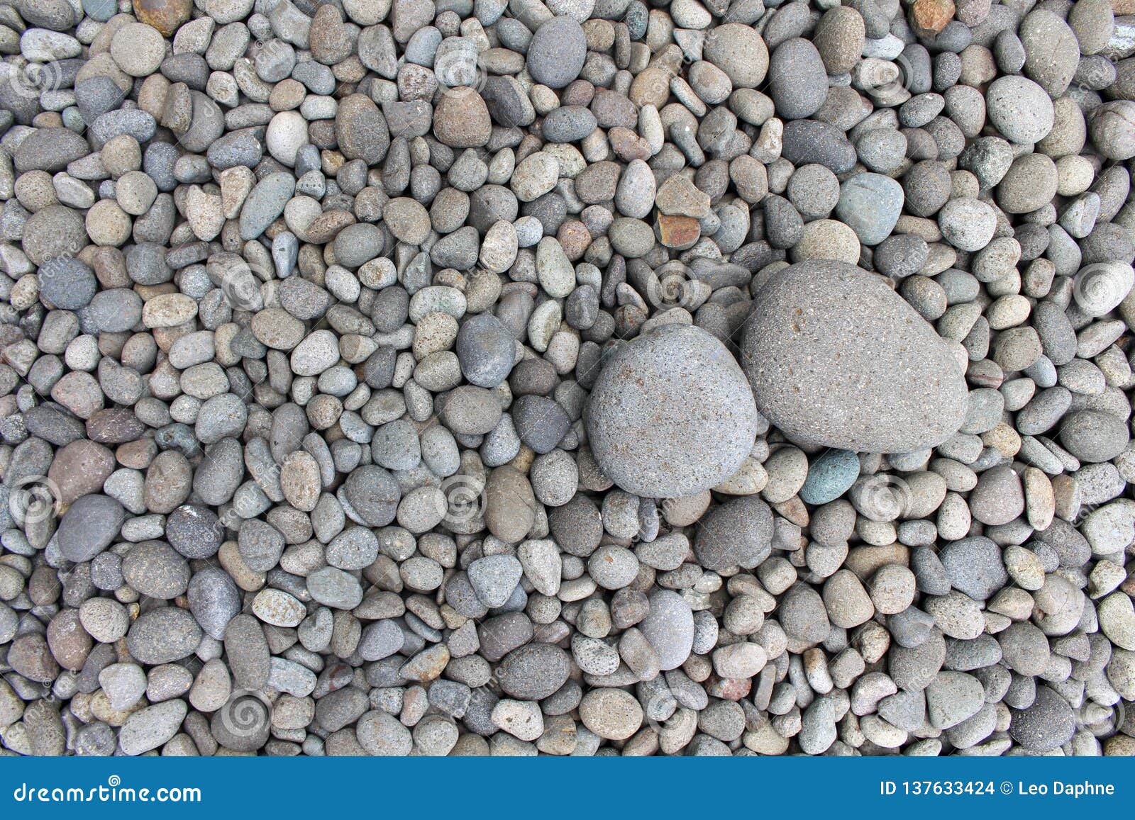Big Stones among Smaller Pebbles, in the Garden Stock Photo - Image of ...