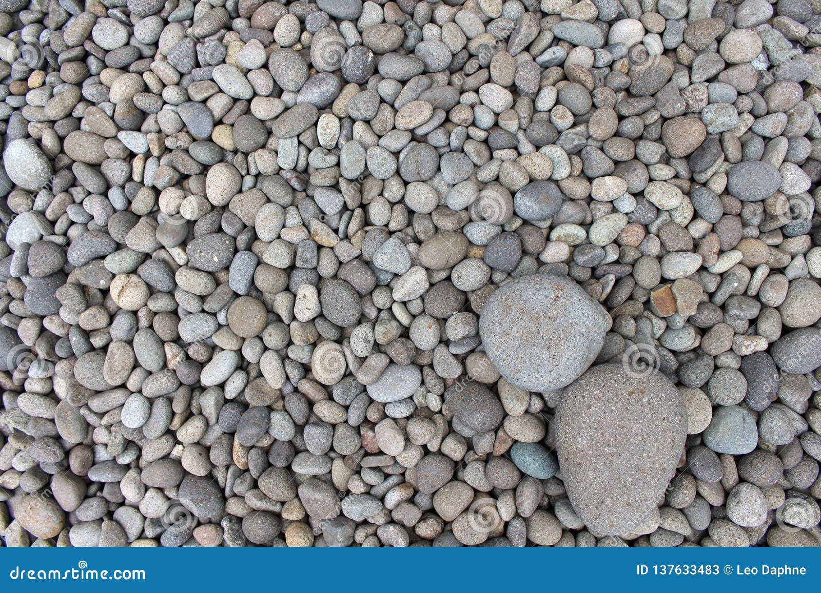Big Stones among Smaller Pebbles, in the Garden Stock Image - Image of ...