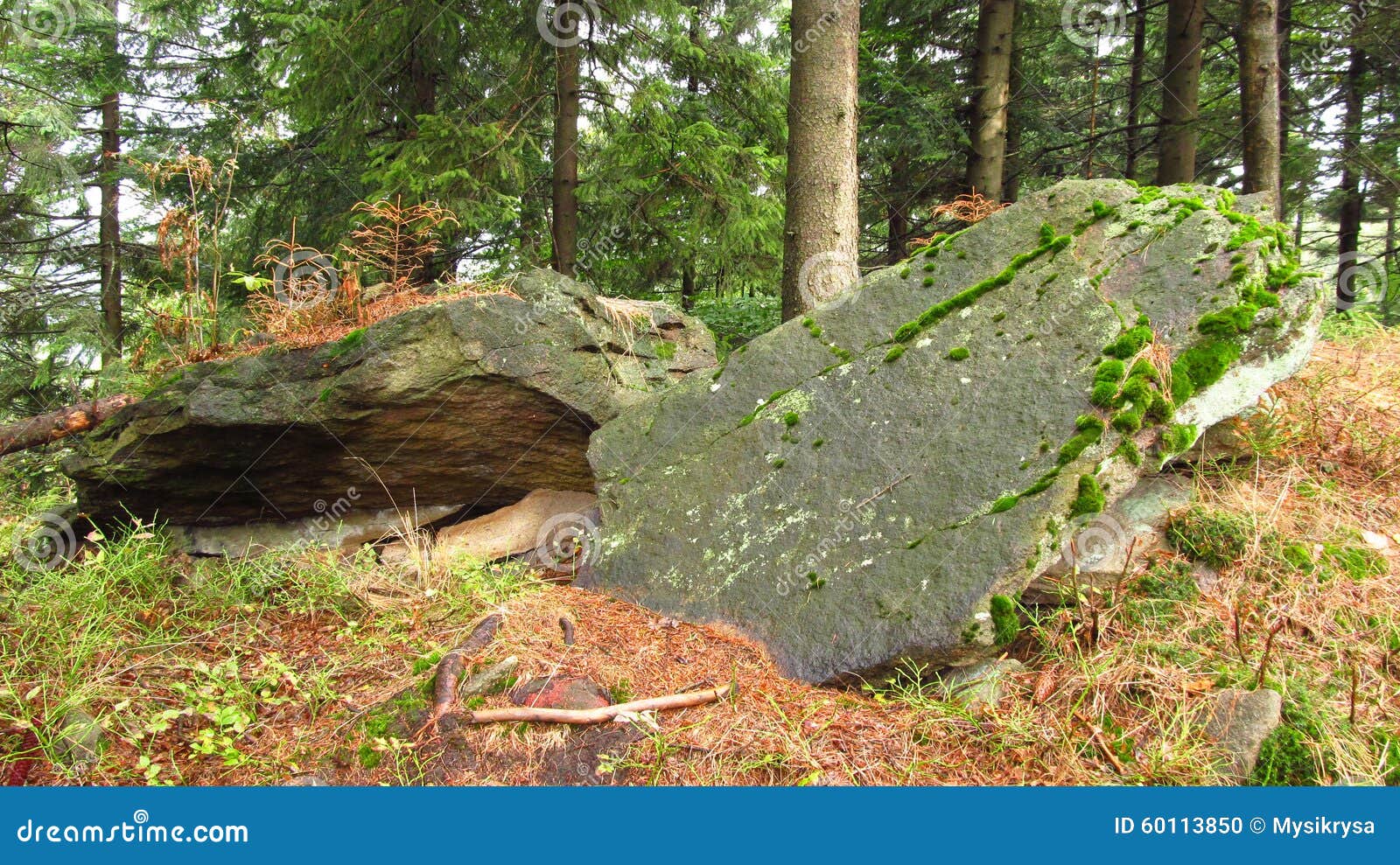 Big stones stock photo. Image of biology, stone, rocks - 60113850