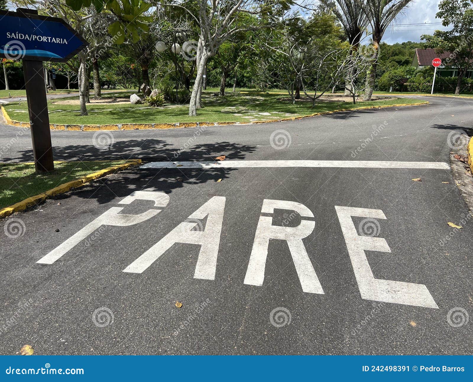 Big Stop sign stock illustration. Illustration of sign - 242498391