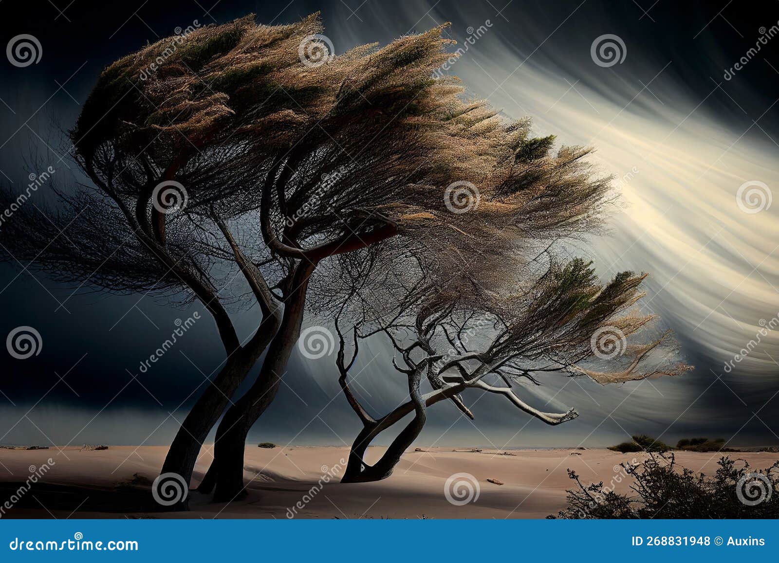 Big Storm Blowing Big Tree In Arid Desert On Drought Weather Created ...