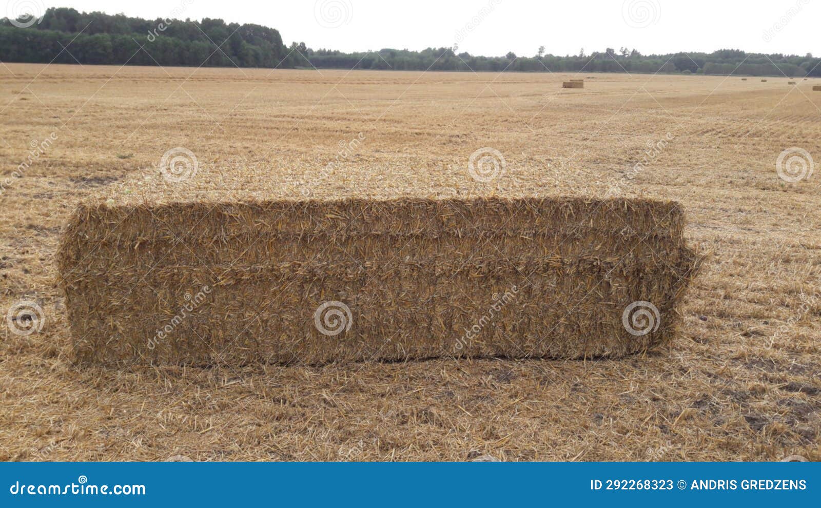 Big straw pack stock image. Image of autumn, straw, field - 292268323