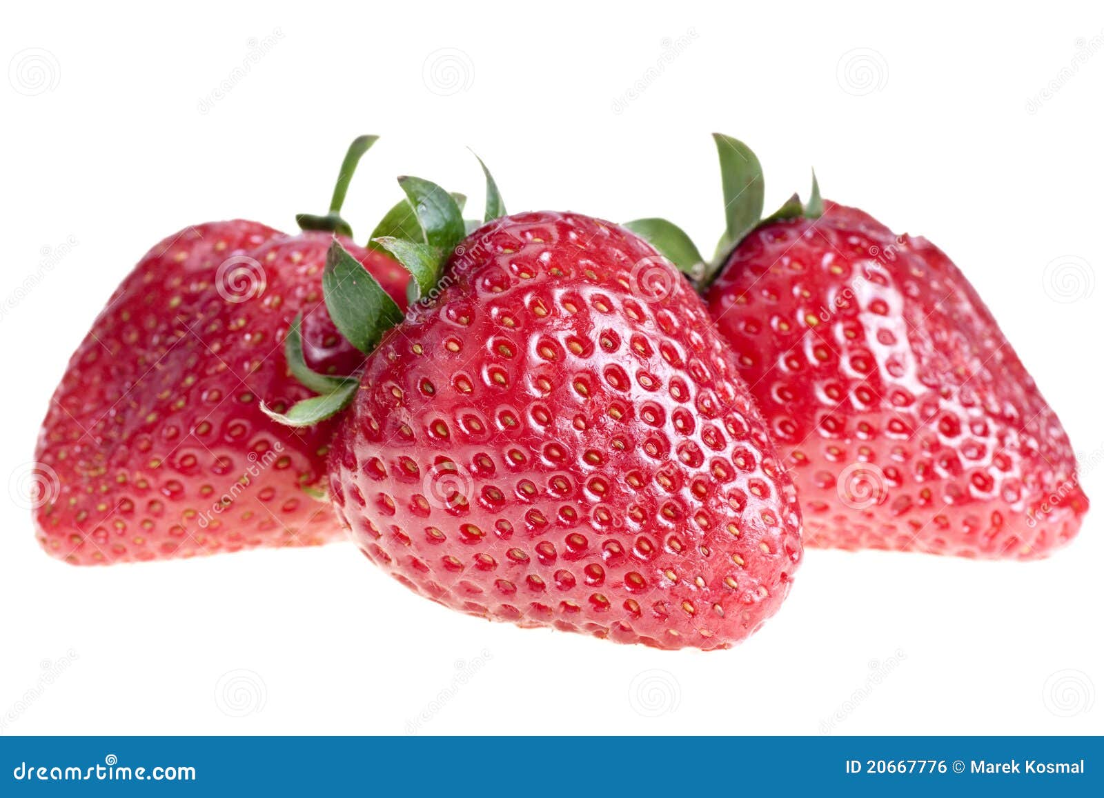 Big strawberr stock photo. Image of food, closeup, natural - 20667776