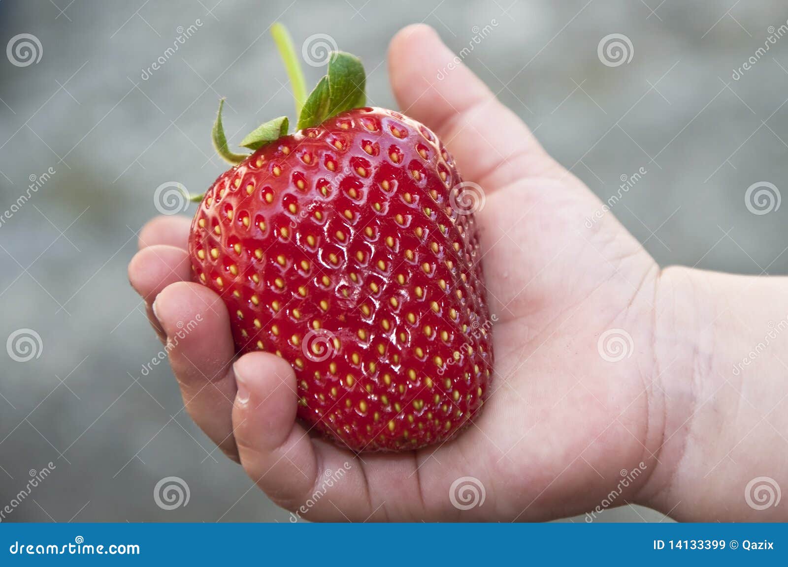 Big strawberry stock image. Image of allergy, hand, fruit - 14133399