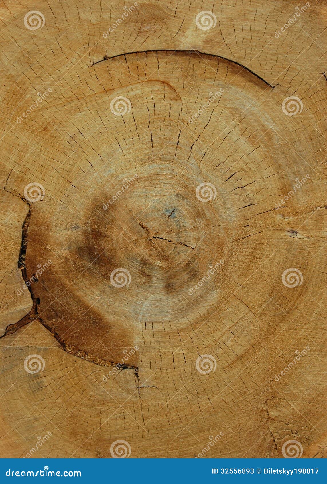 Big stub stock image. Image of derevyanno, dense, shaft - 32556893