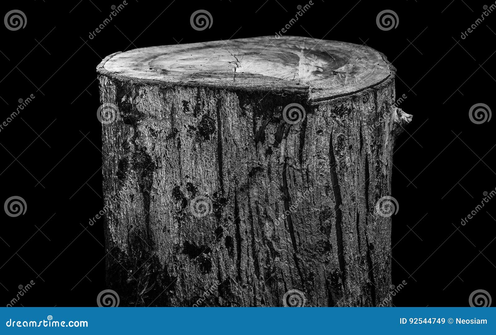 Big stump isolated stock image. Image of plant, object - 92544749