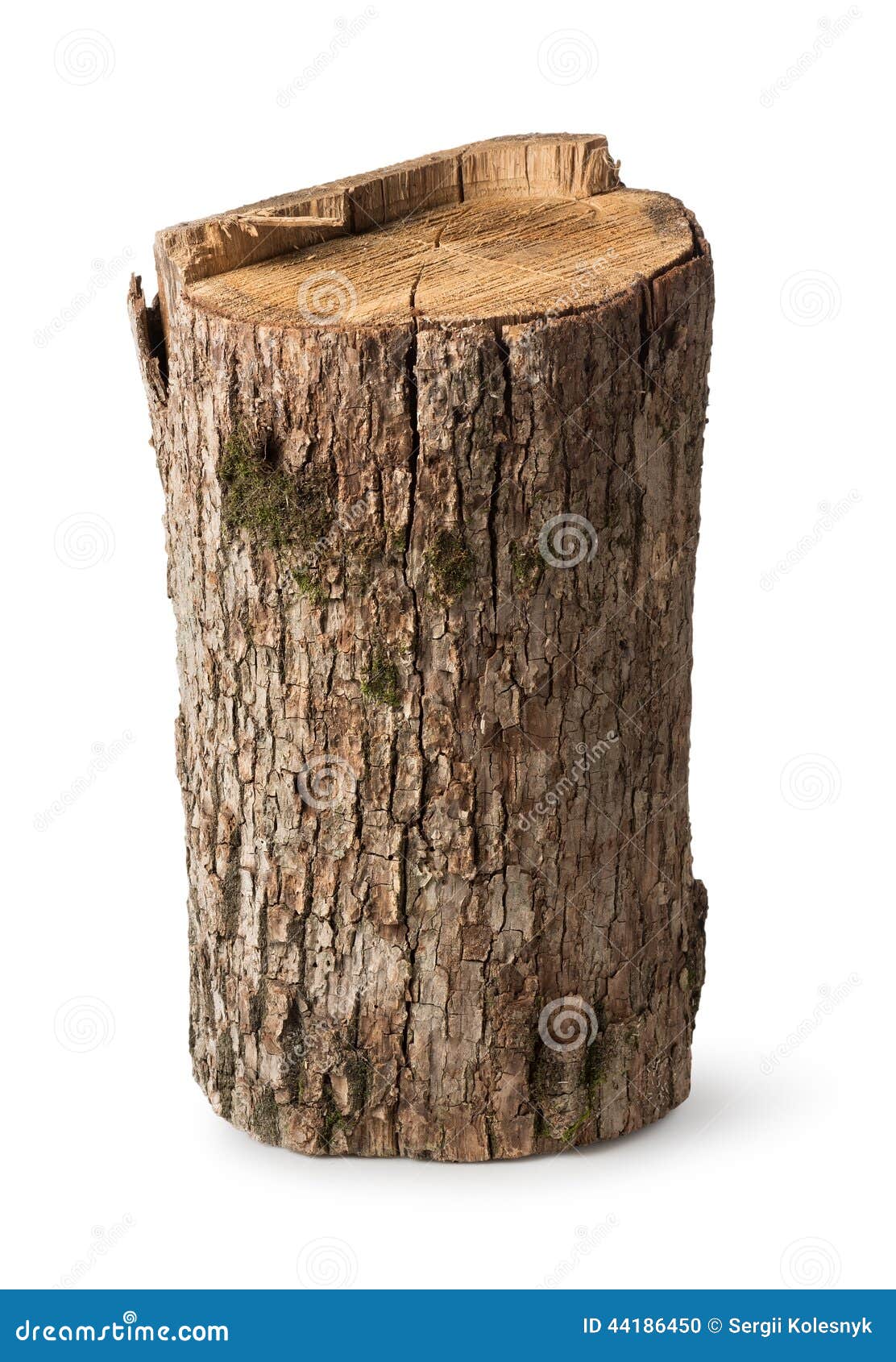 Big stump stock photo. Image of cracked, background, birch - 44186450