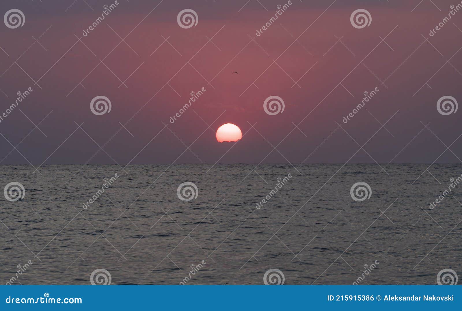 Big sun over sea sunrise stock photo. Image of morning - 215915386