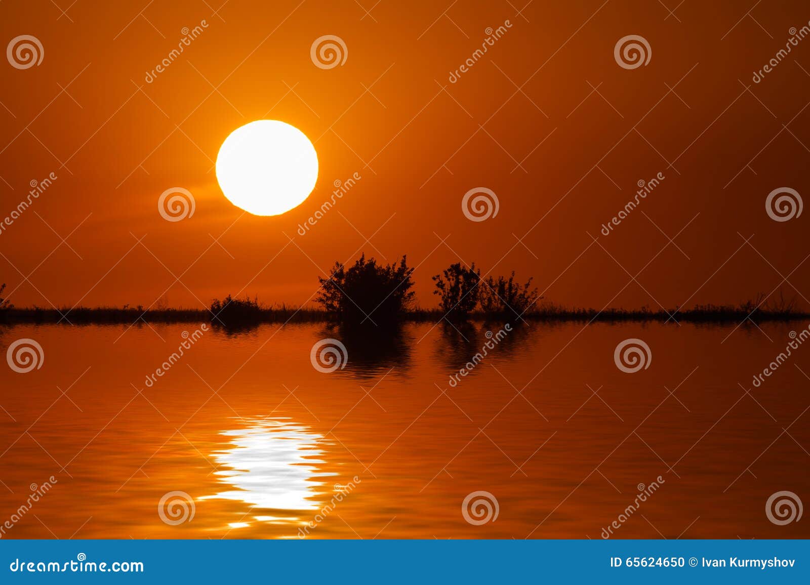 Big Sun Reflect on the Water with Trees Stock Photo - Image of wave ...