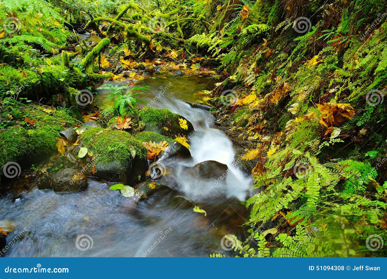 A big sunrise stock photo. Image of dawn, sunrise, landscape - 51094308