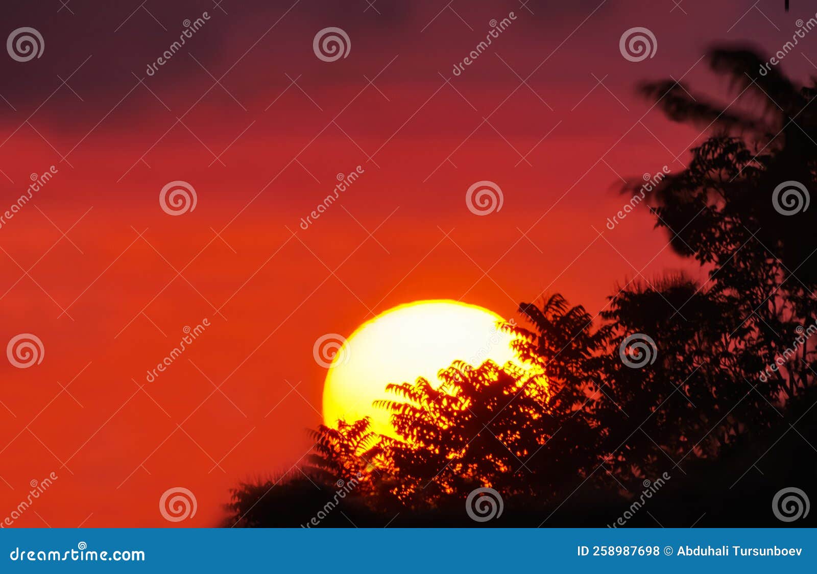 Big sunset stock photo. Image of dawn, ocean, large - 258987698