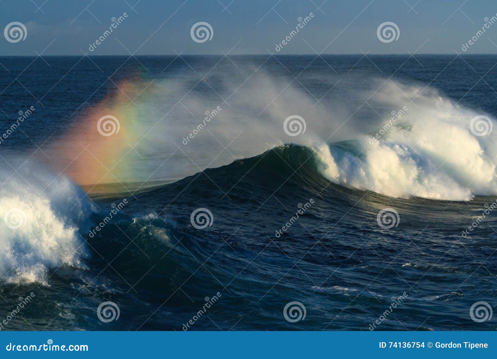Rainbow Wave Surf