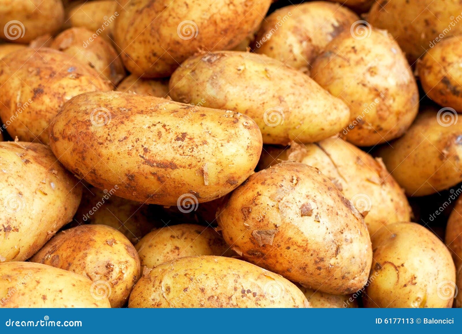 Big sweet potatoes stock image. Image of green, food, potatoes - 6177113