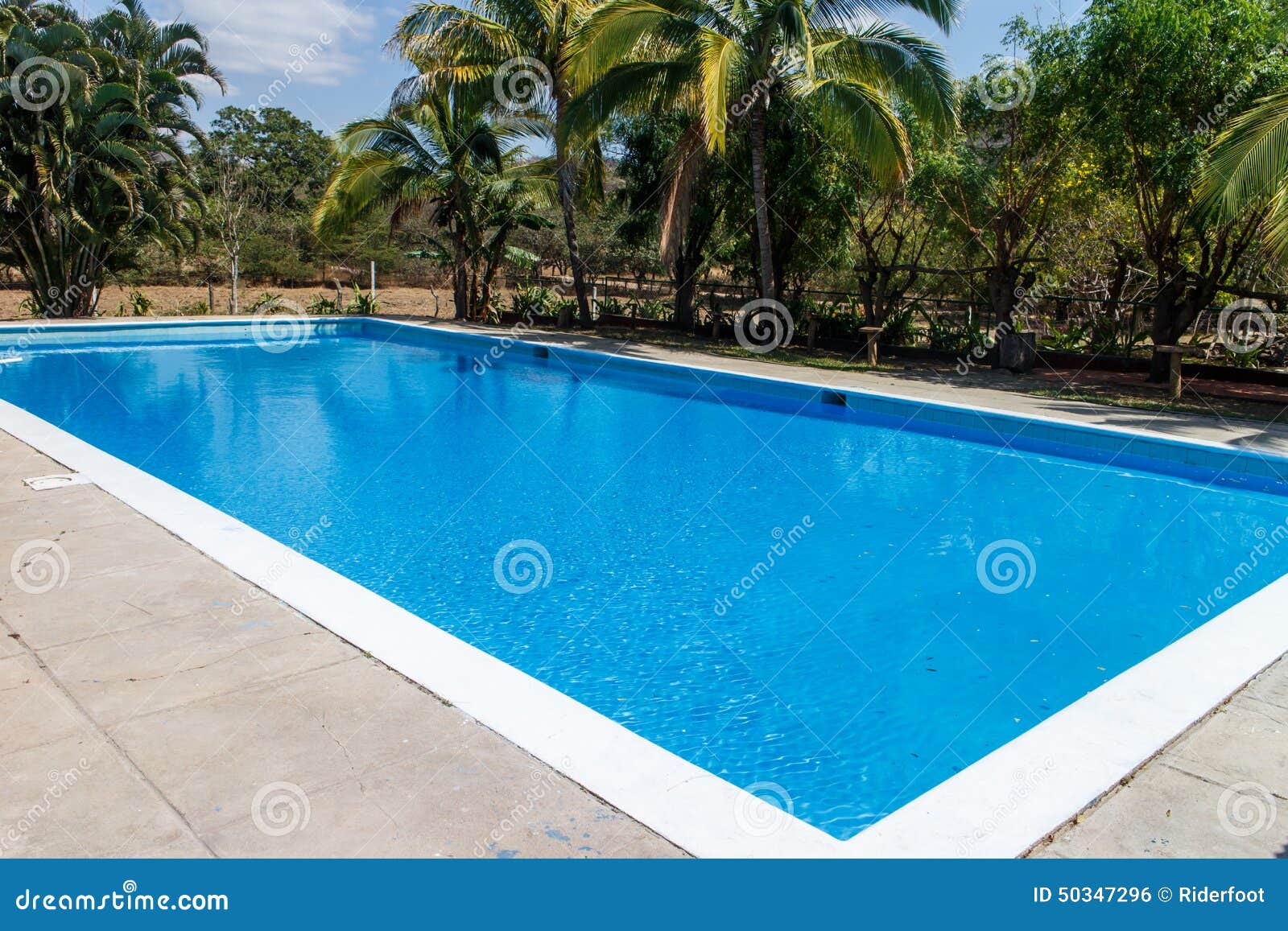 Big Swimming Pool with Palms Stock Photo - Image of bright, pool: 50347296