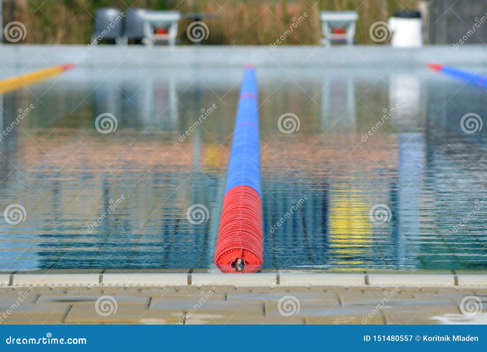 The Big Swimming Pool with Tracks Stock Image - Image of tracks, swim ...